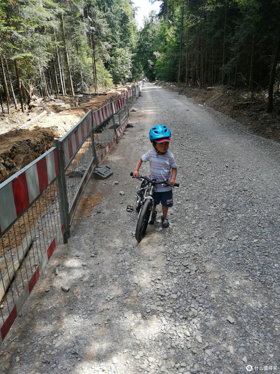 儿子的第一辆自行车，Early Rider Belt 16_儿童自行车_什么值得买