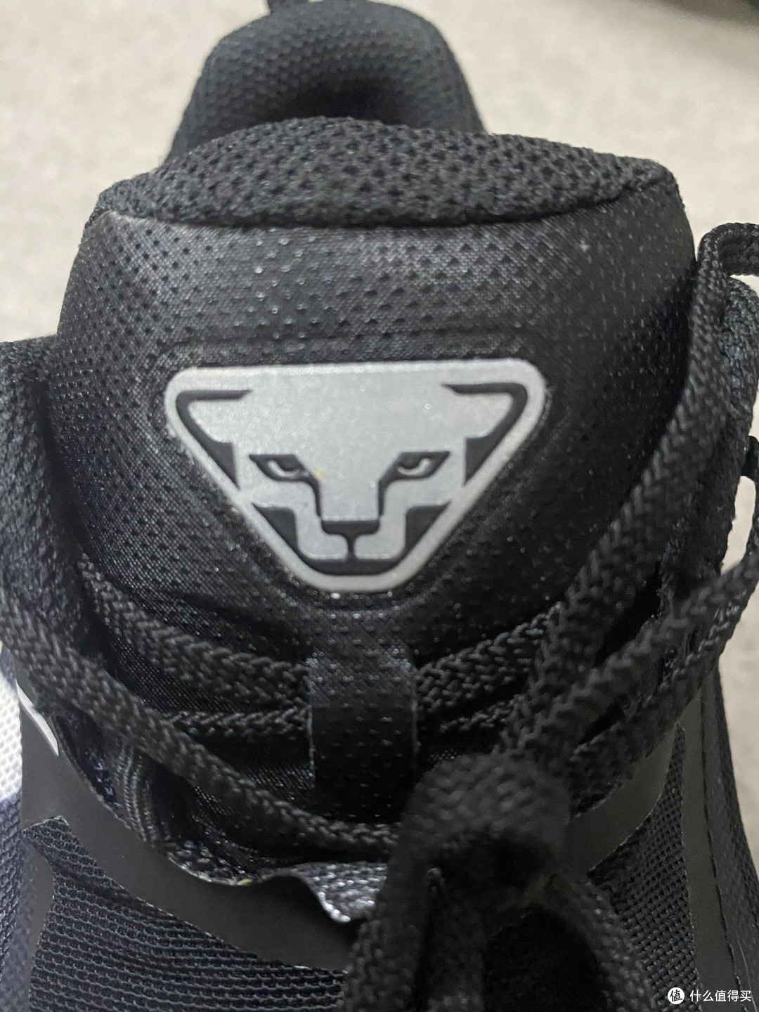 UTMB（环勃朗峰超级越野跑）TDS组冠军的战靴分享DYNAFIT雪豹ULTRA 100_越野跑鞋_什么值得买