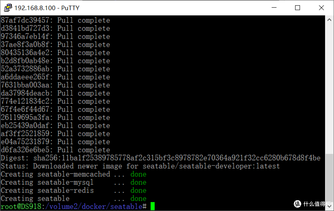 SeaTable开发者版群晖Docker部署教程_NAS存储_什么值得买