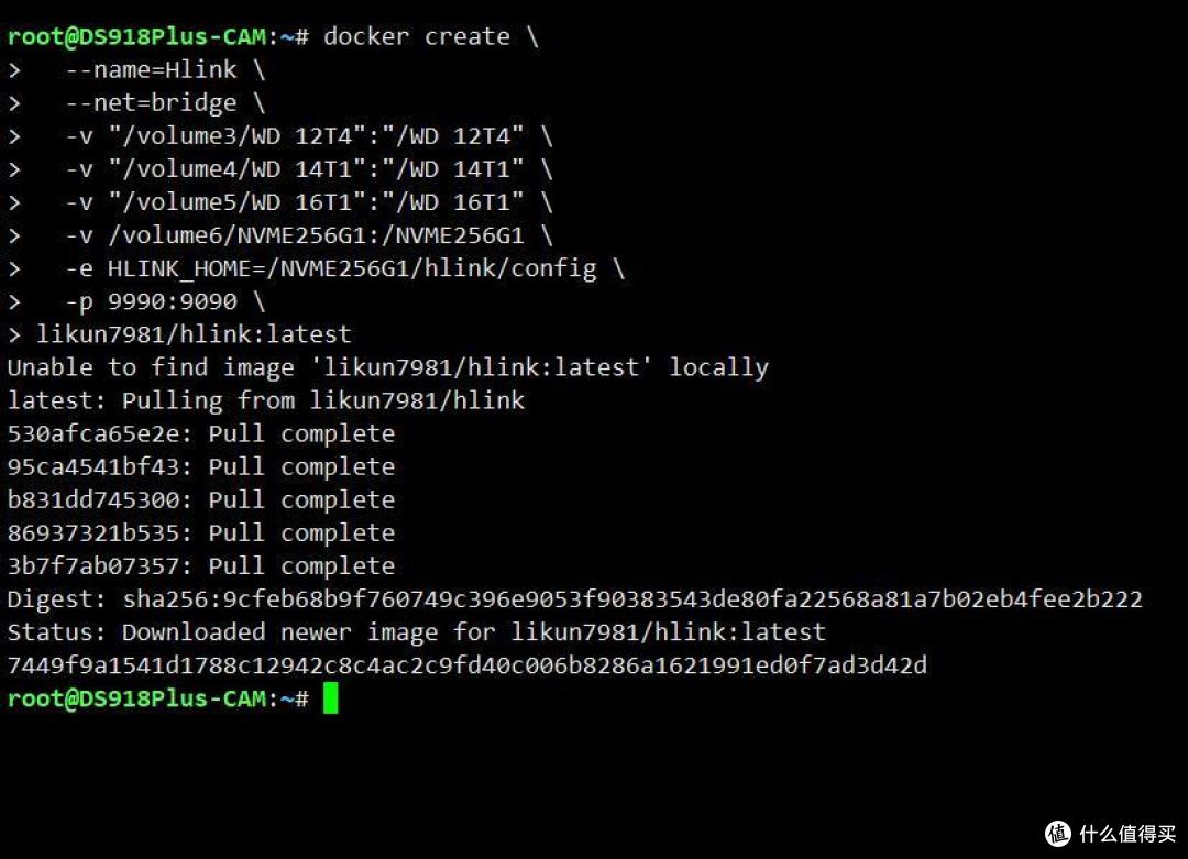 多功能硬链接工具，新版hlink简单使用教程（docker）_NAS存储_什么值得买