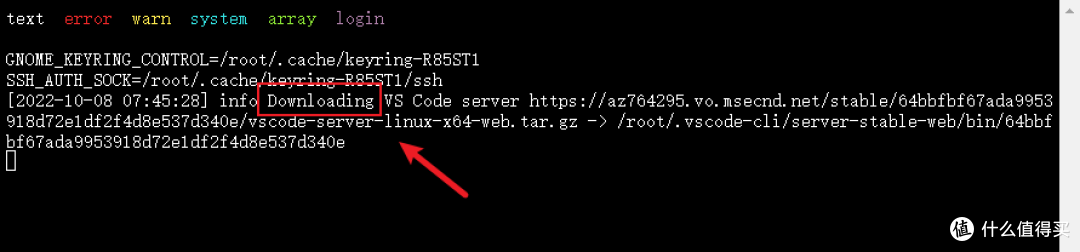 用Nas搭建vscode代码编辑器，超硬核教程_NAS存储_什么值得买