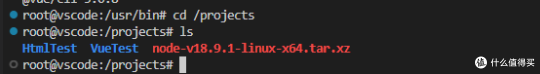 用Nas搭建vscode代码编辑器，超硬核教程_NAS存储_什么值得买