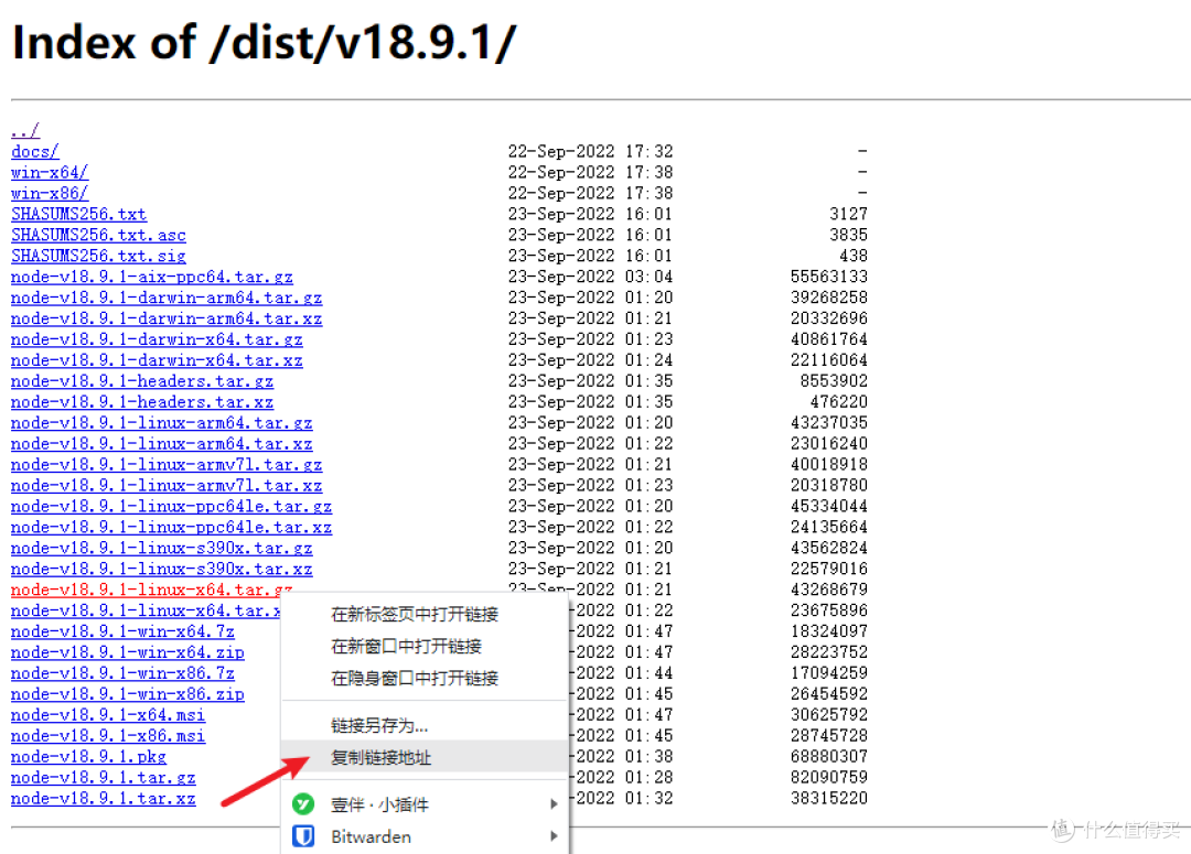 用Nas搭建vscode代码编辑器，超硬核教程_NAS存储_什么值得买