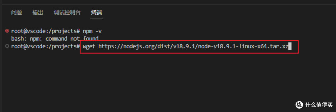 用Nas搭建vscode代码编辑器，超硬核教程_NAS存储_什么值得买