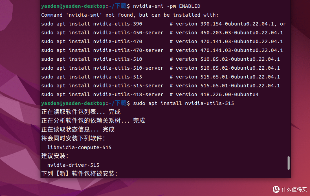 玩NAS先学Linux（3）：如何安装.run显卡驱动程序文件+解决NVIDIA Container Toolkit安装过程遇到的难题_软件应用_什么值得买