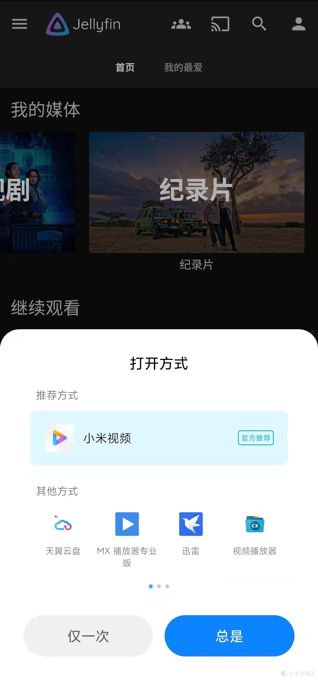 Jellyfin串流，让客户端解码_NAS存储_什么值得买
