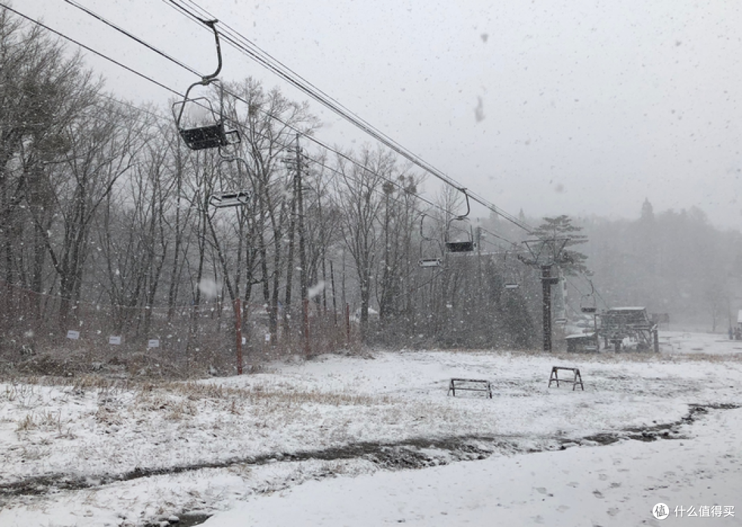 专业滑雪 证书CSIA level 考试二三事_考试认证_什么值得买