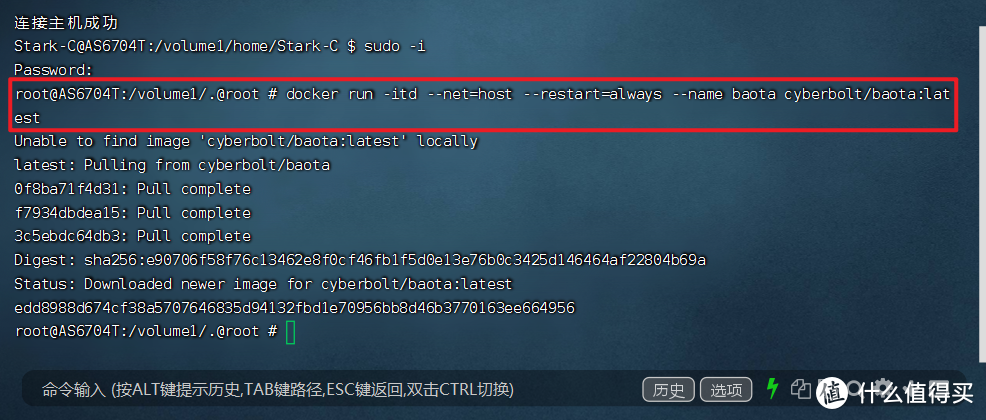 【新手导向】使用Docker安装宝塔面板，实现炫酷的服务器可视化面板管理_网络存储_什么值得买