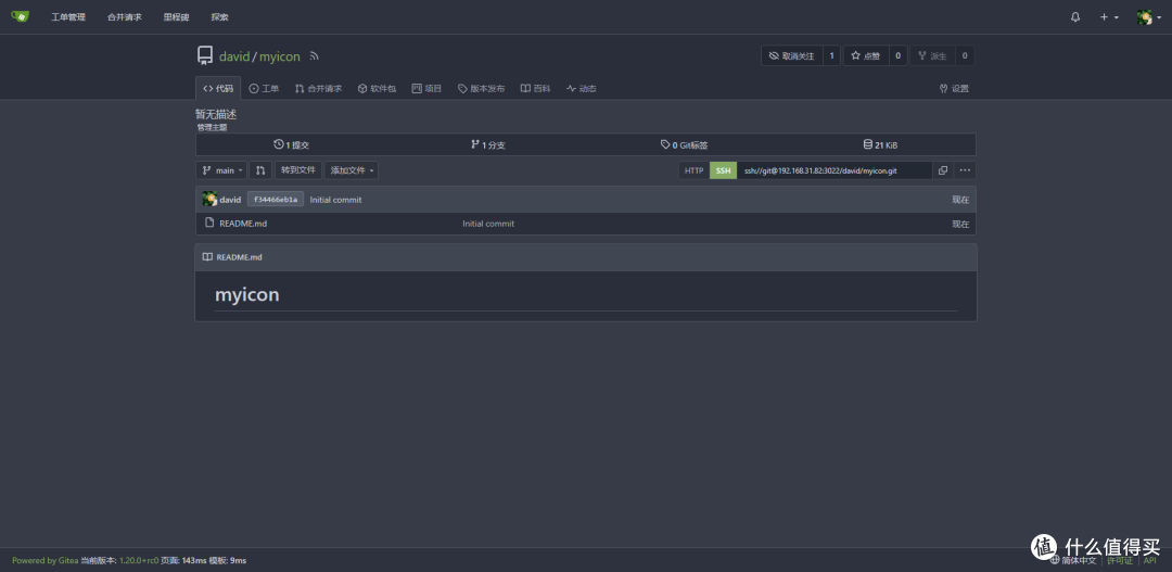 UNRAID篇，搭建Gitea 轻量级全功能 DevOps 开发平台_NAS存储_什么值得买