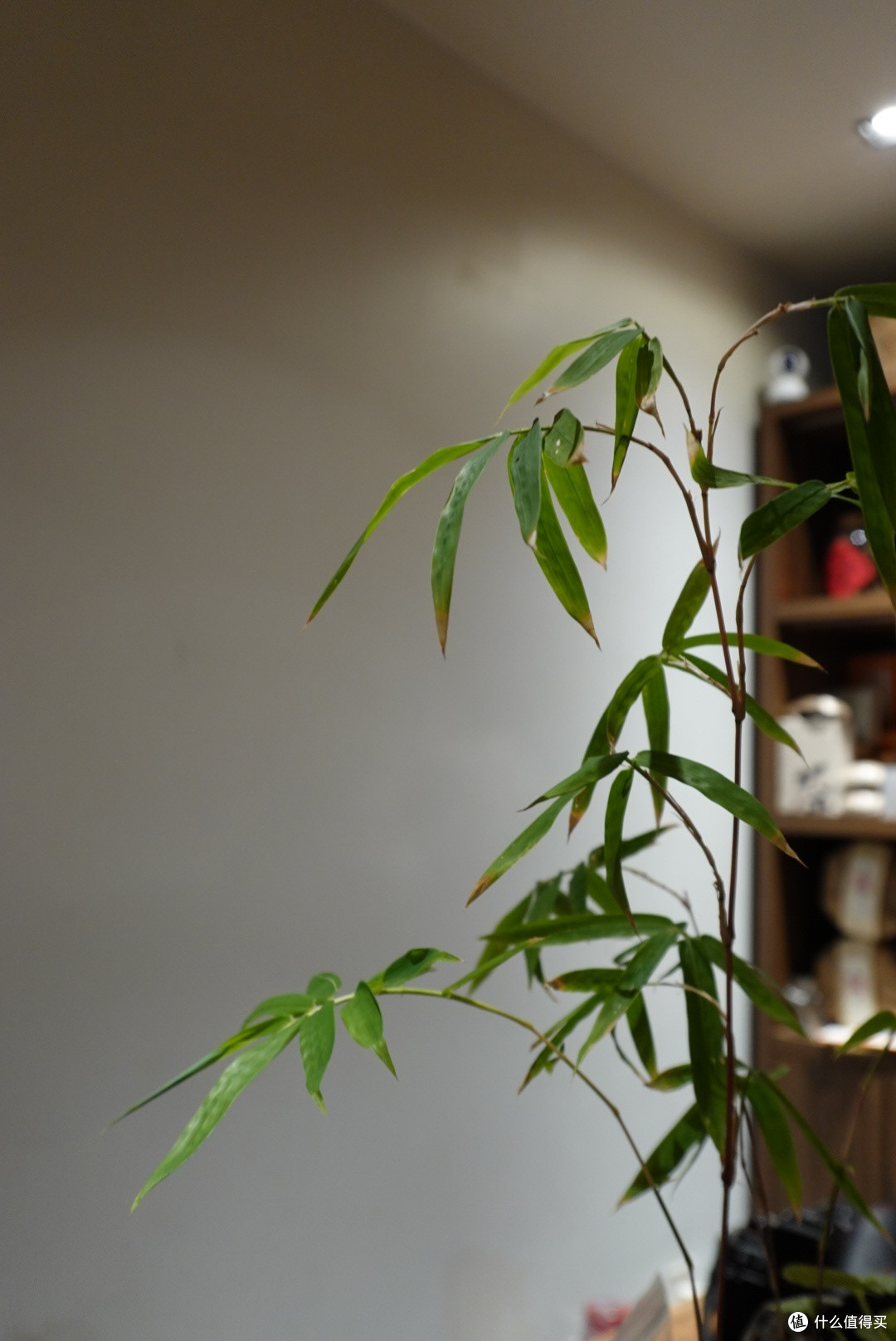 索尼 ZV-1II 相机 上手评测，相机终于不在复杂了，小白直接上手出片。_数码相机_什么值得买