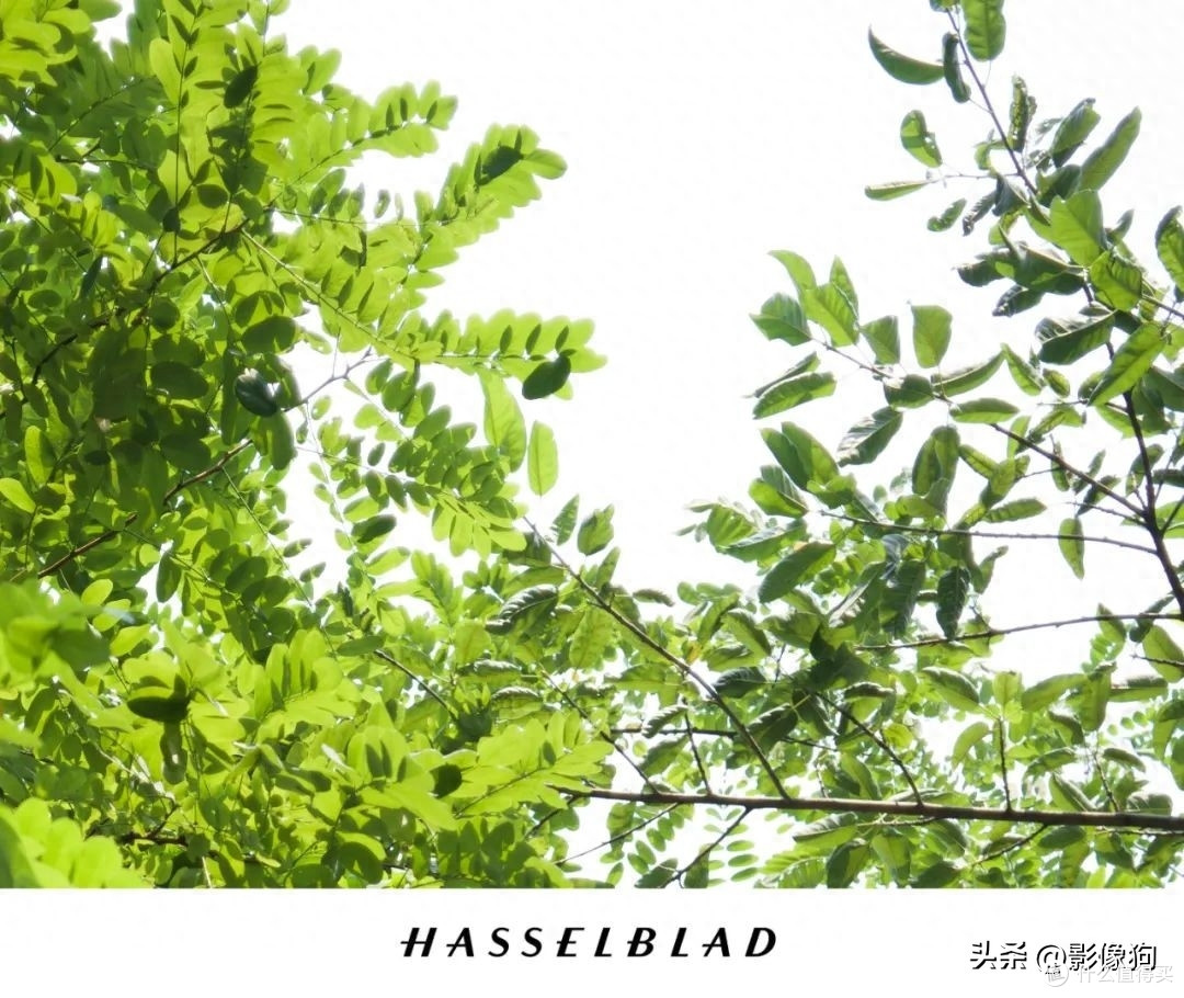传统摄影强牌：哈苏中画幅镜头体验 XCD 4/28P_镜头_什么值得买