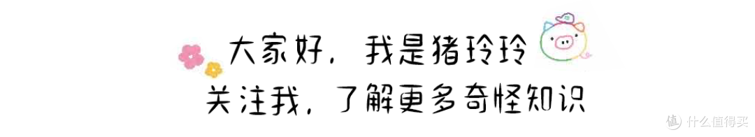 超简单打造Openwrt专属alpha主题皮肤_路由器_什么值得买