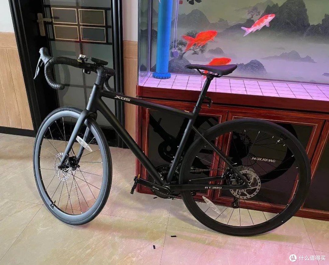 喜德盛RT380公路自行车：轻盈之选，骑行新风尚_骑行运动_什么值得买