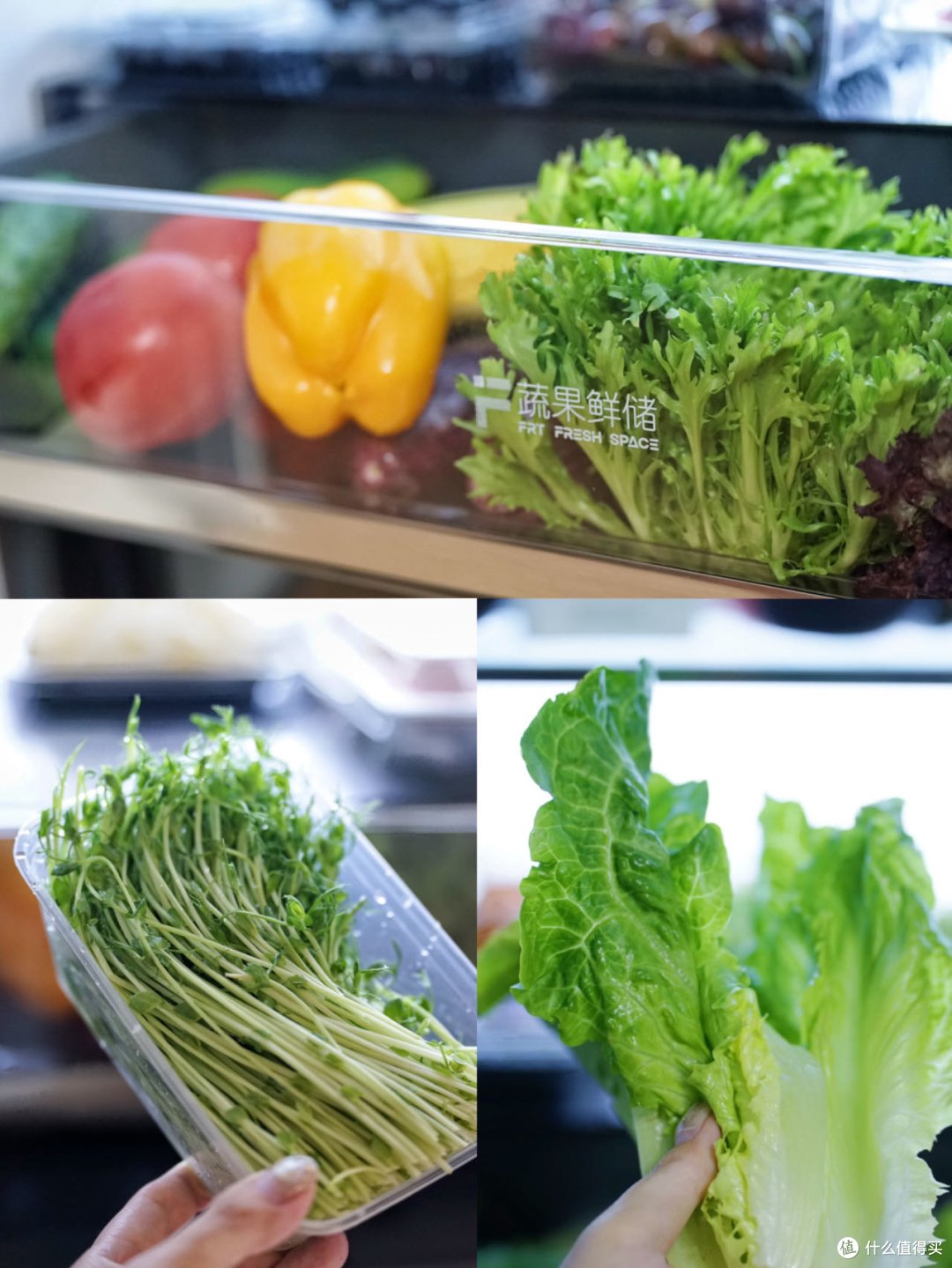 单品实测| 2024AWE上亮相的容声560WILL养鲜平嵌冰箱值不值得入手？_对开门冰箱_什么值得买