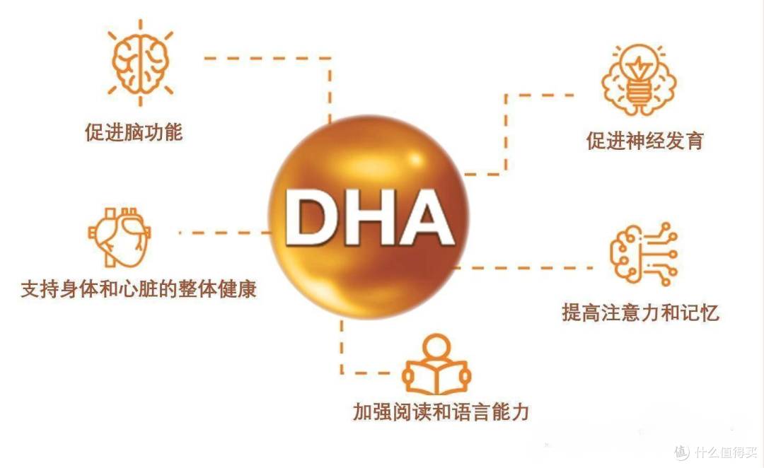 哪些人需要补充DHA？看这一篇就够了！_鱼类_什么值得买