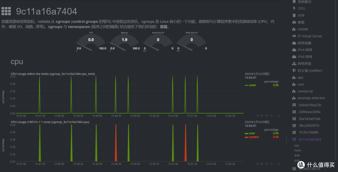 NAS部署地表最炫Linux实时性能监控面板『Netdata』&全网首发汉化_NAS存储_什么值得买
