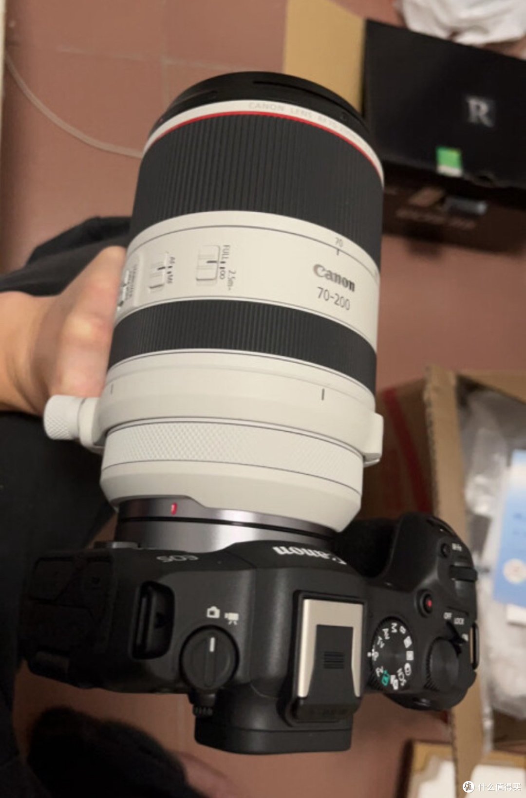 佳能EOS R8 vs EOS R6：性能、价格与性价比全解析，哪款更适合你？_单电相机_什么值得买