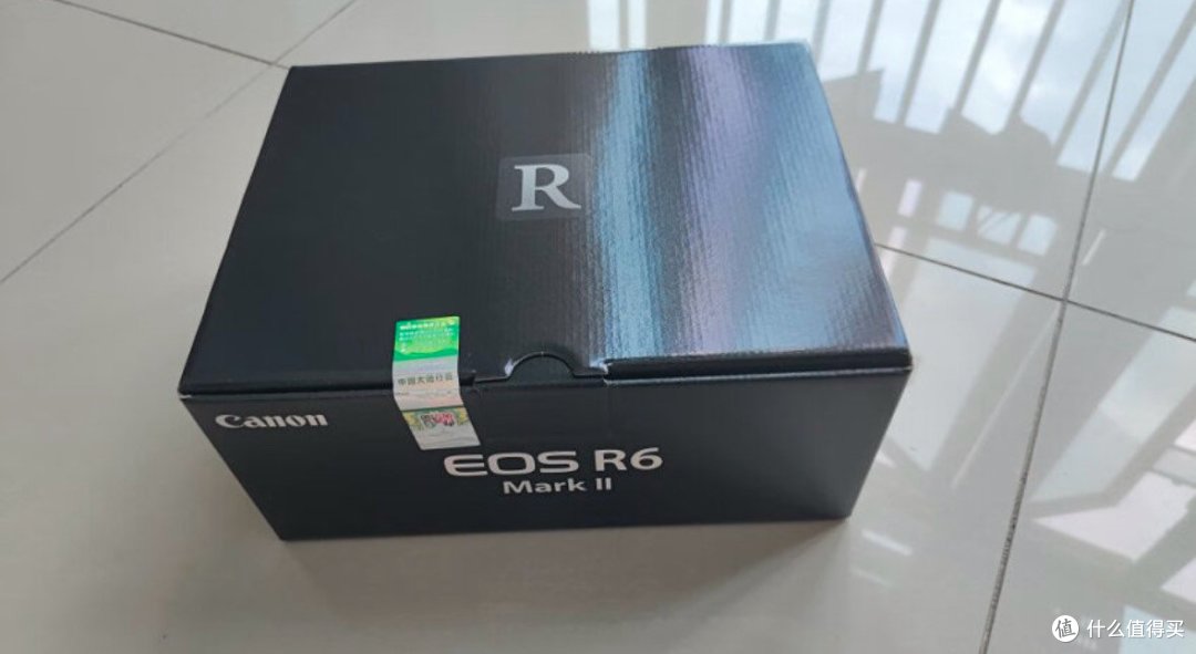 佳能EOS R8 vs EOS R6：性能、价格与性价比全解析，哪款更适合你？_单电相机_什么值得买