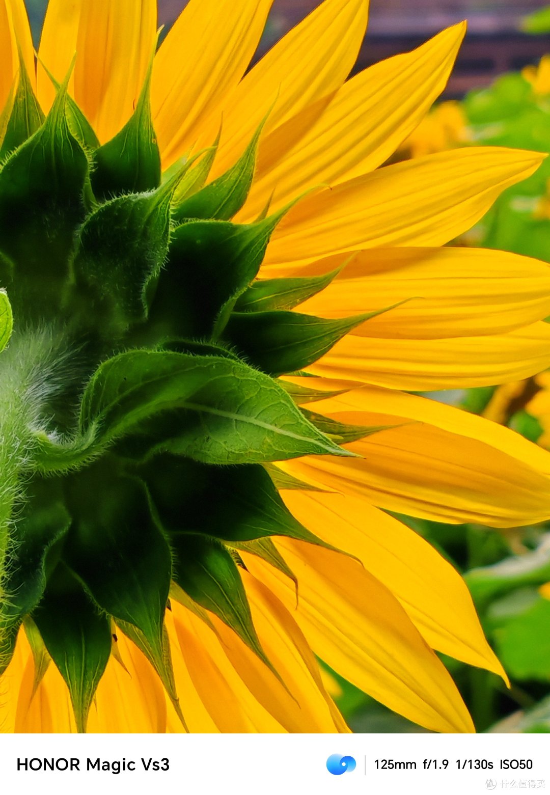 荣耀 Magic Vs3一周上手体验，6999 元到底值不值？_安卓手机_什么值得买