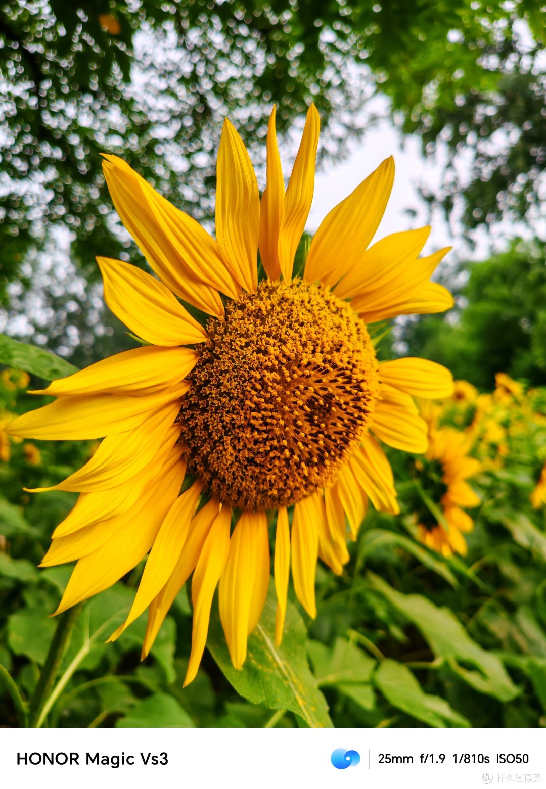 荣耀 Magic Vs3一周上手体验，6999 元到底值不值？_安卓手机_什么值得买