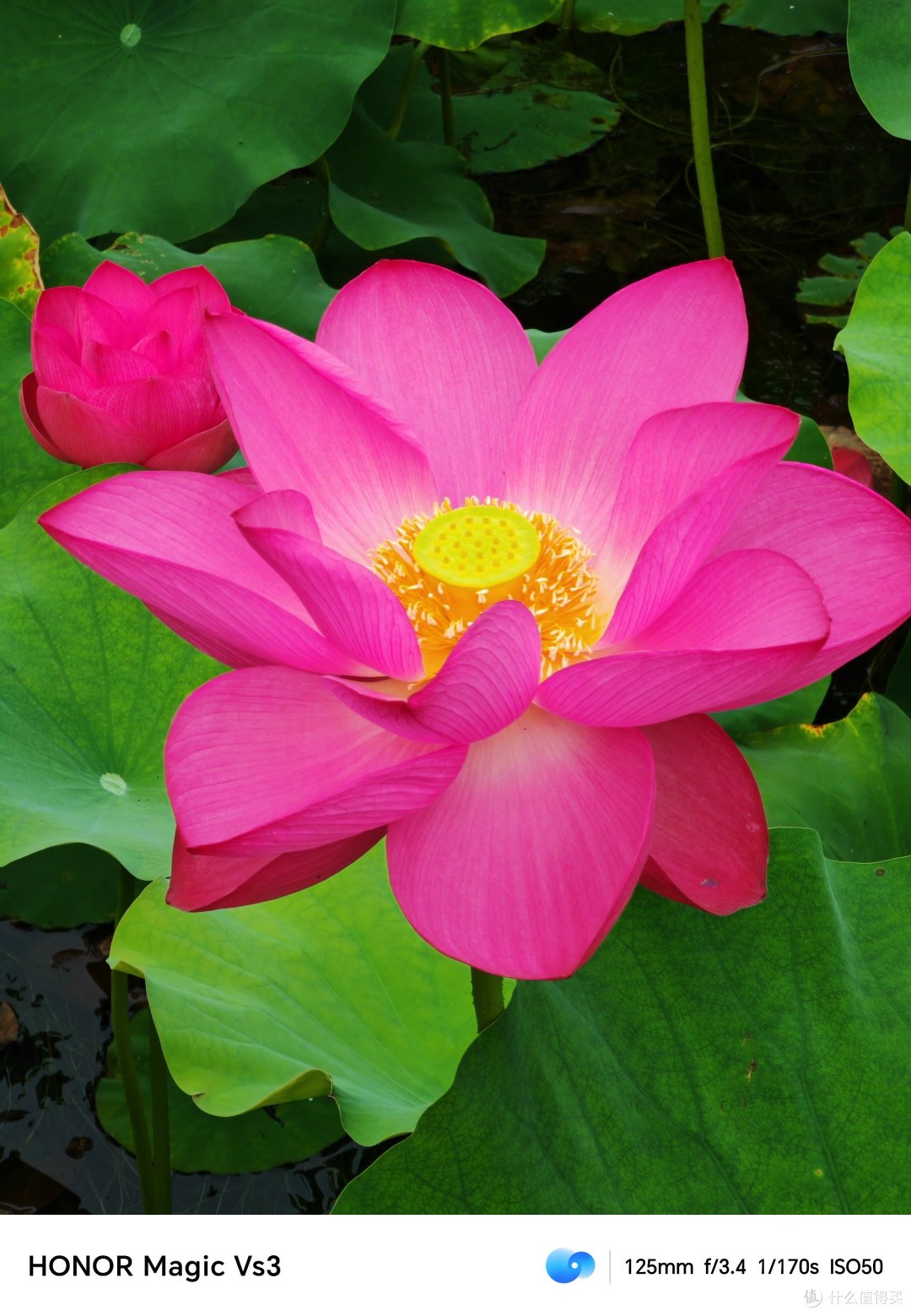 荣耀 Magic Vs3一周上手体验，6999 元到底值不值？_安卓手机_什么值得买