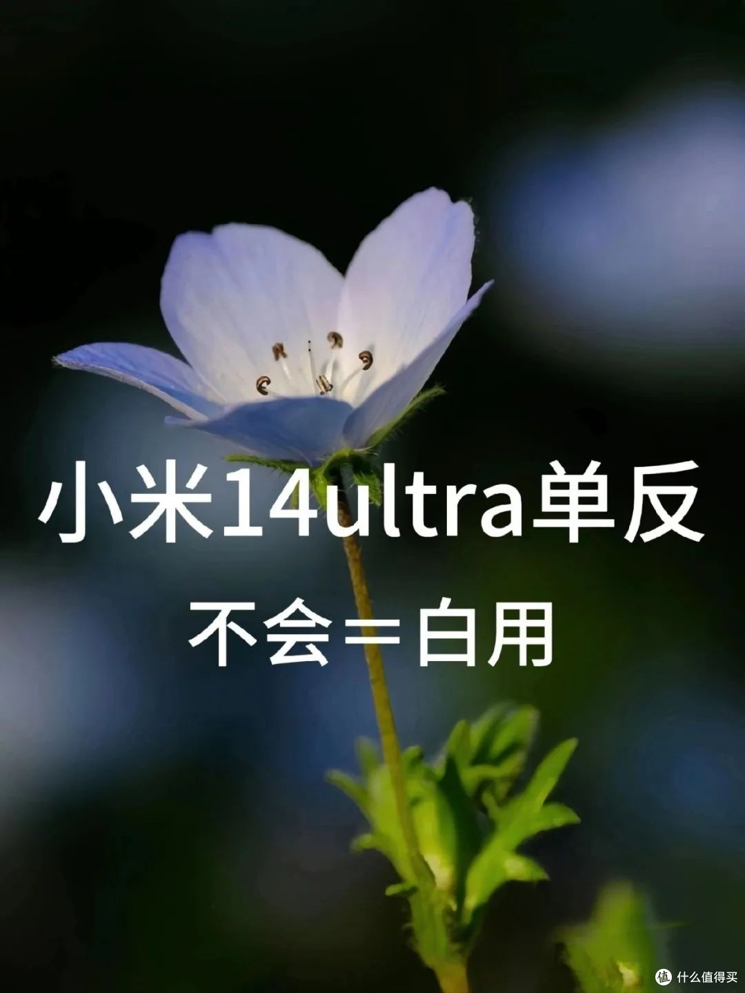 小米14ultra竟然拥有与单反相机相媲美的专业拍照模式！_相机_什么值得买
