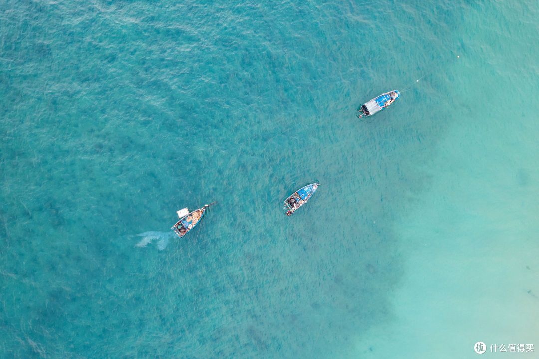 国内唯一能观鲸的旅行地，这样自驾也太爽了_国内度假_什么值得买