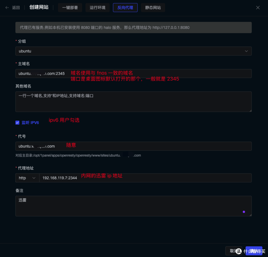 fnos + 1panel 使用 https 对外安全的访问迅雷_网络存储_什么值得买