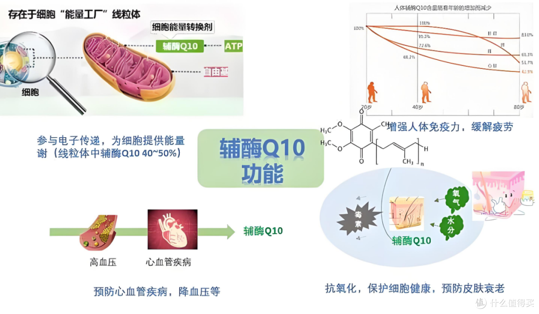 全面了解辅酶Q10，科学揭秘辅酶Q10_基础健康_什么值得买