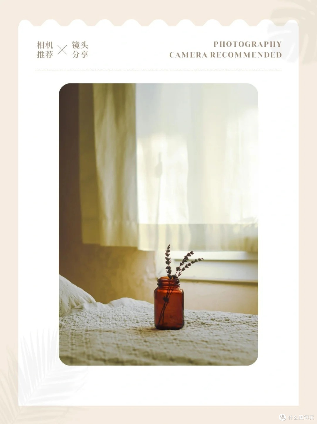 每天了解一台相机！！今天是尼康Z30_相机_什么值得买