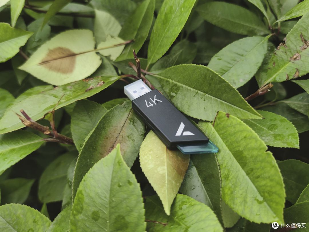 LPL一哥Knight无缘 雷柏VT3 Pro Max体验 8K回报率这你受得了吗？_鼠标_什么值得买