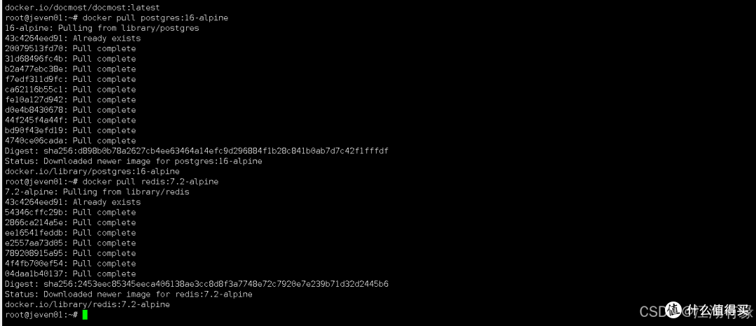 Docker实践：部署Docmost文档管理系统_NAS存储_什么值得买