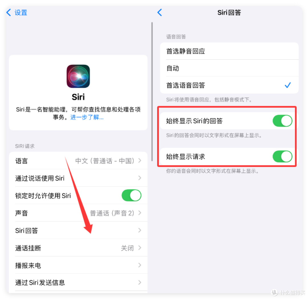 Deepseek接入苹果Siri，我手搓了个支持各大AI的快捷指令_服务软件_什么值得买